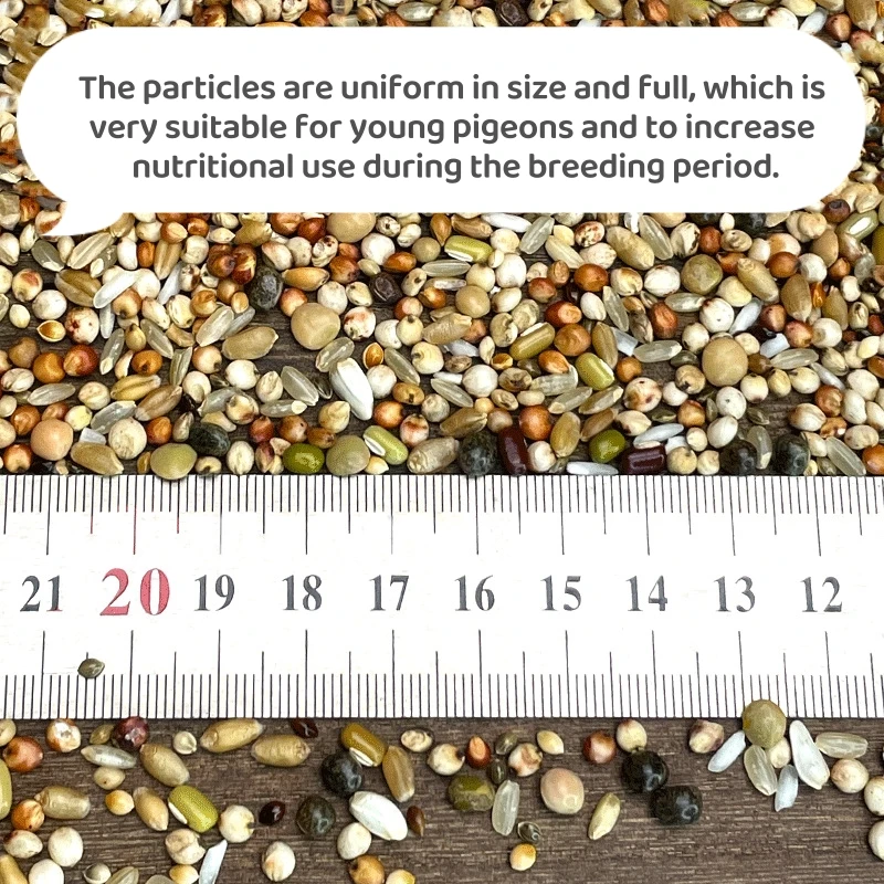 Wholesale Fresh Nutritional Pet Food Spotted Dove Young Bird Birdling ...