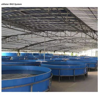 Circular Recirculating Aquaculture System Tank Ras Indoor Fish Farming ...