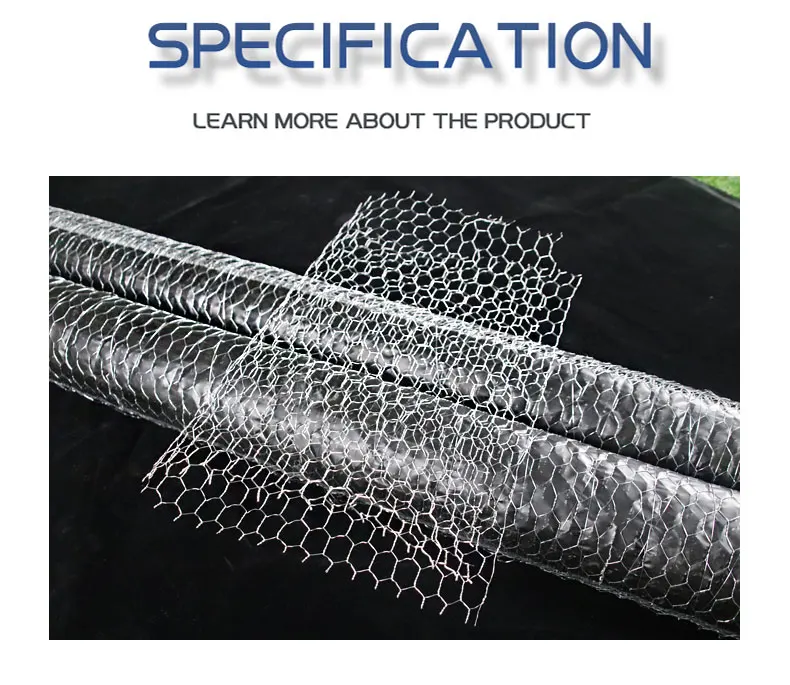 Galvanized Hexagonal Chicken Wire/ Poultry Wire Used For 3/4" Chicken ...