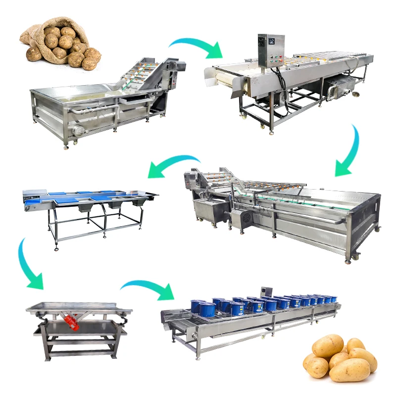 Complete 500kgs Mango Pulp Washing Sorting Machine Pineapple Peeling ...