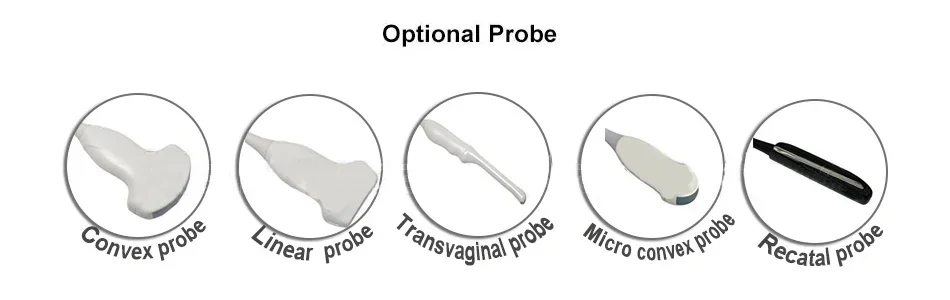 Ultrasound Systems Clinic Linear Convex Array Probe B/W Ultrasound ...