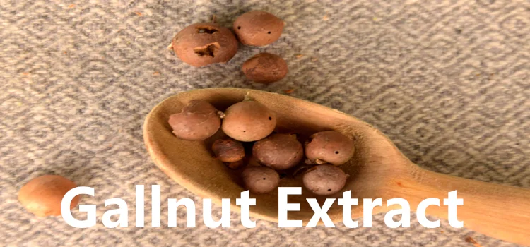 Factory Supplier Wholesale Price Gallnut Extract 98% Tannins Acid ...