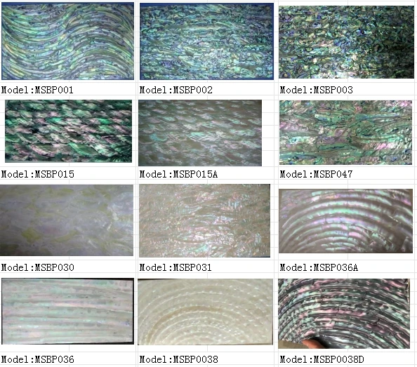 New Natural Japanese Awabi Shell Laminated Veneer Sheet for Furniture ...