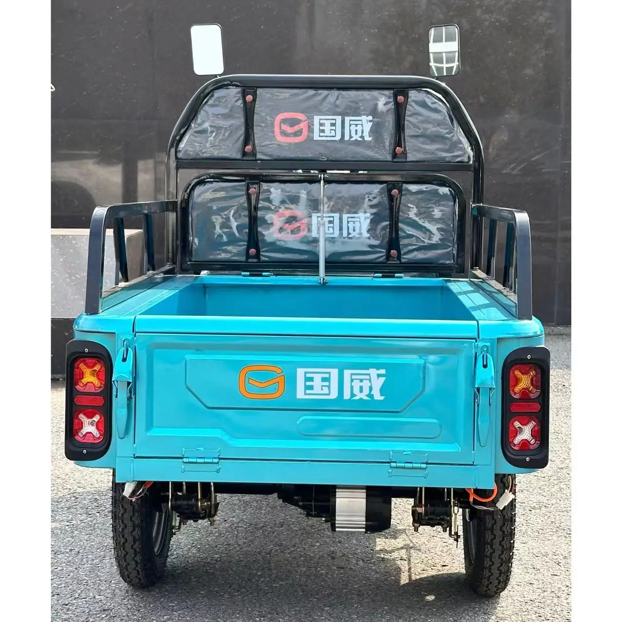 1000W Electric Cargo Tricycle for Adults - Gowei 3-Wheel Motorcycle for ...