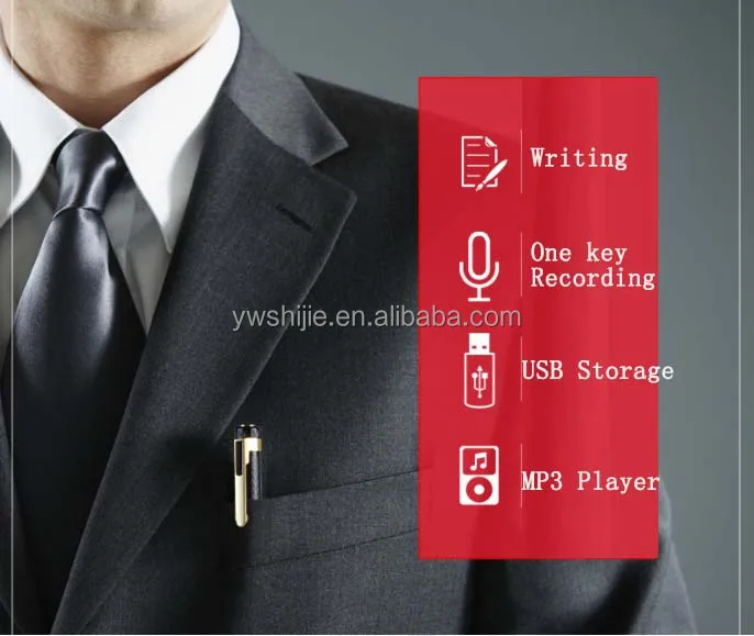 Bidirectional Microphone with External TF Card & USB Storage