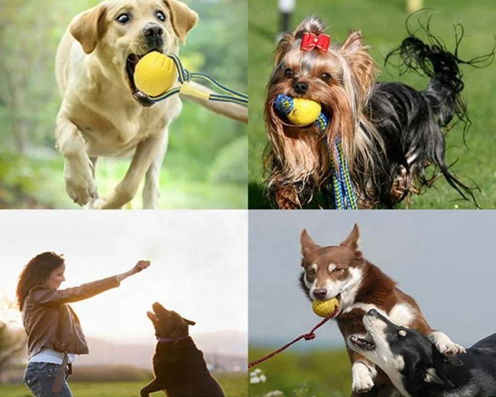 Glifmeey Natural EVA Dog Ball - Durable & Interactive Toy