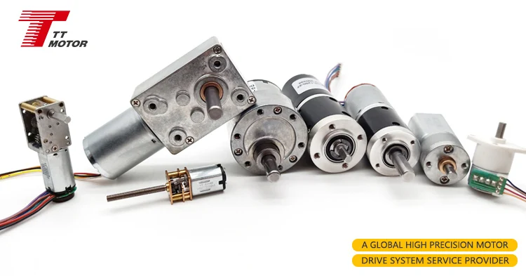 China Supplier Tt 6v 12v 24v Worm Planetary Bldc Brushless Brushed ...