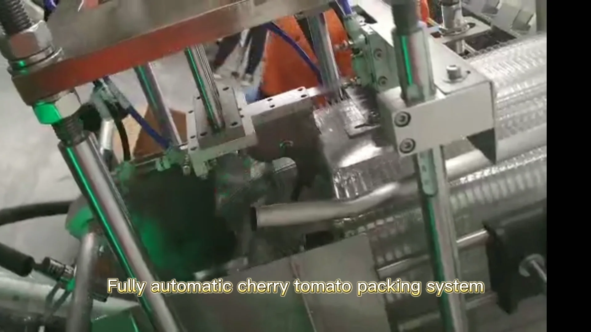 Automatic 10/14 Heads Weigher Scale Cherry Tomatoes Clamshell Punnet ...
