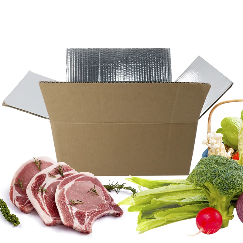 Insulated Frozen Food Packaging - Efficient & Durable