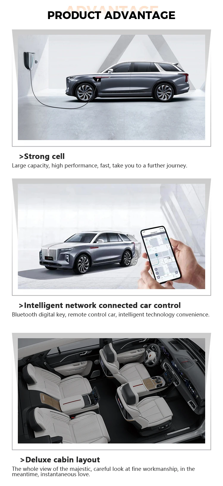 Hongqi E-Hs9 460km Qi Yue Version 7 Seats - Dual Motor EV