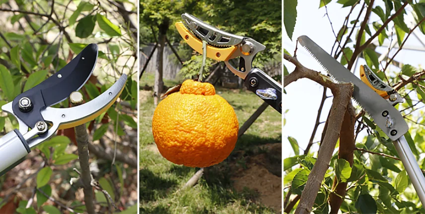 Extendable Telescopic Tree Pruner - Perfect for DIY Pruning