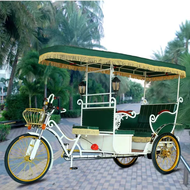 Electric Trike Bike Rickshaw at Jacob Mauldin blog