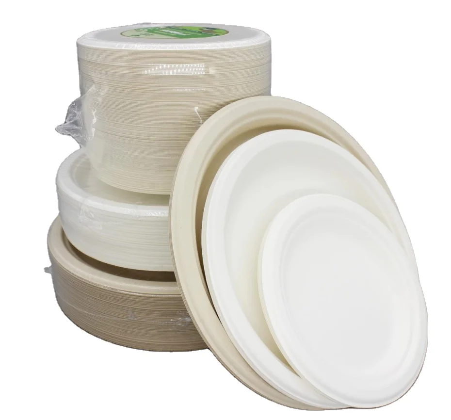 Good Product Quality 6 Inch Party Plate Food Container Biodegradable ...