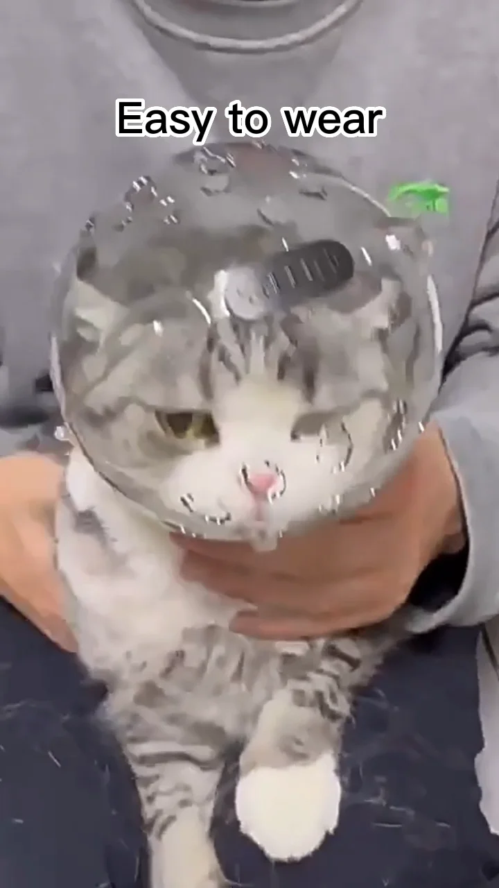 Cat Space Head Cover Mouth Set Anti-bite Elizabeth Collar Anti-licking ...