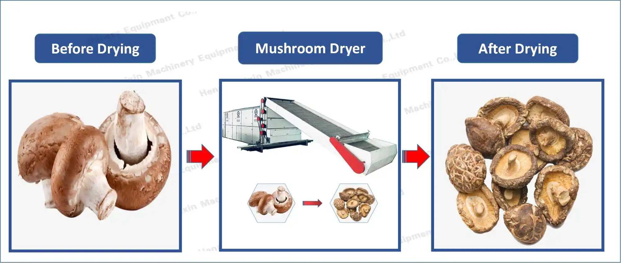 Industrial Electric Conveyor Hot Air Mesh Belt Dryer Herb Cassava ...
