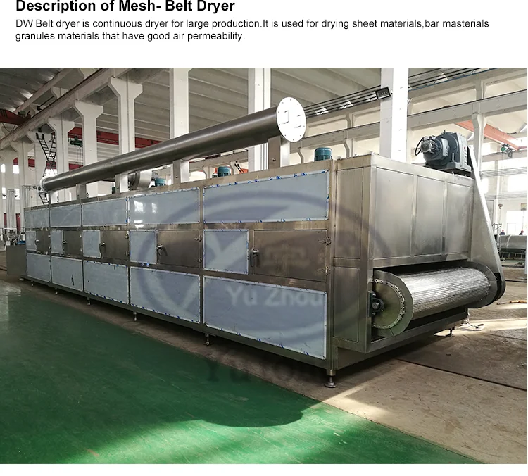 DW Series Industrial Mesh Belt Continuous Fruit and Vegetable Dryer ...
