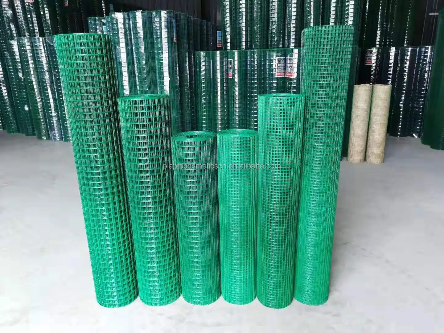 Green Color PVC Coated Galvanized Welded Wire Mesh