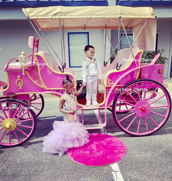 Elegant Electric Pink Royal Horse Carriage for Sale