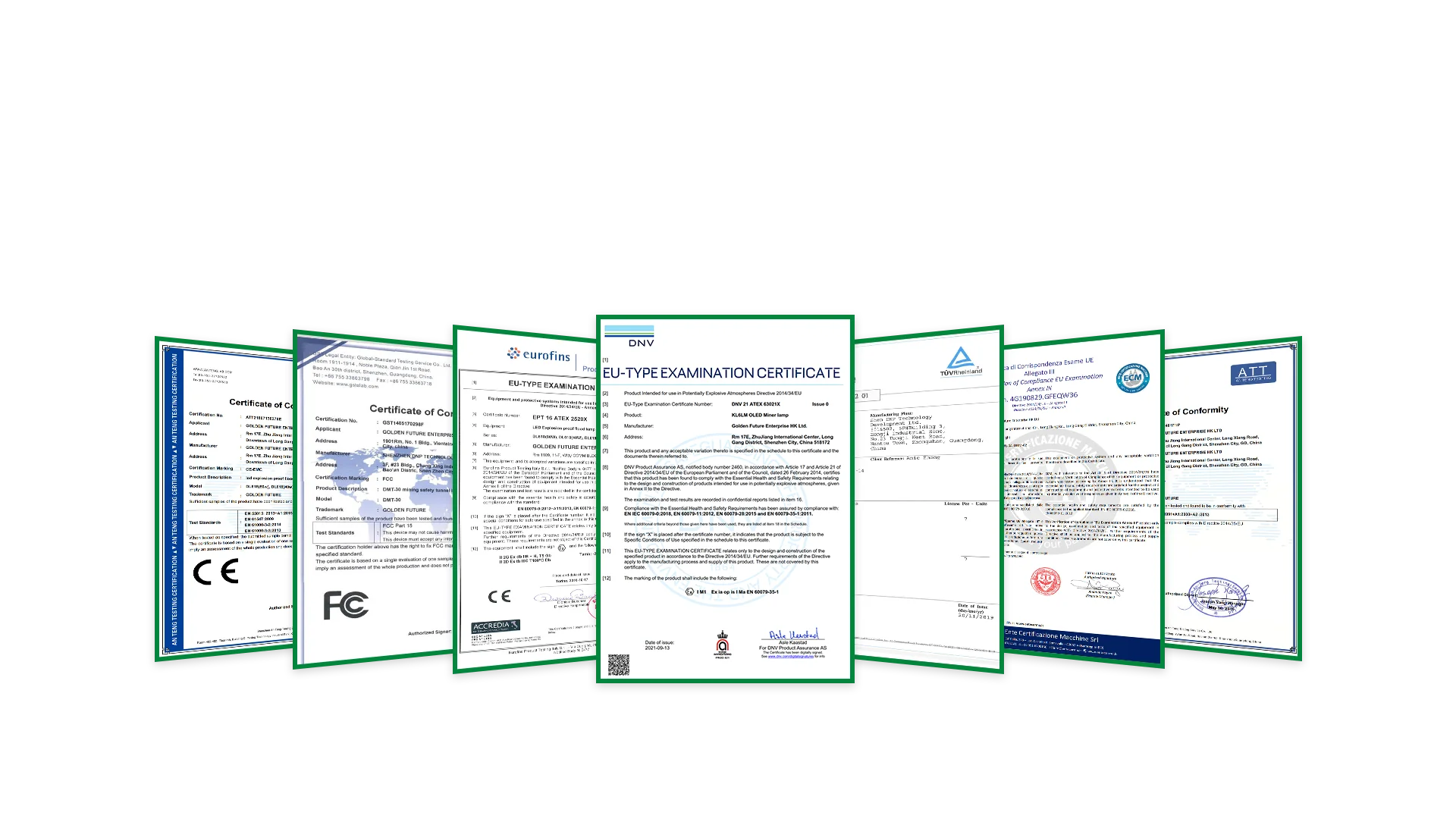 Company Overview - Shenzhen Golden Future Lighting Ltd.