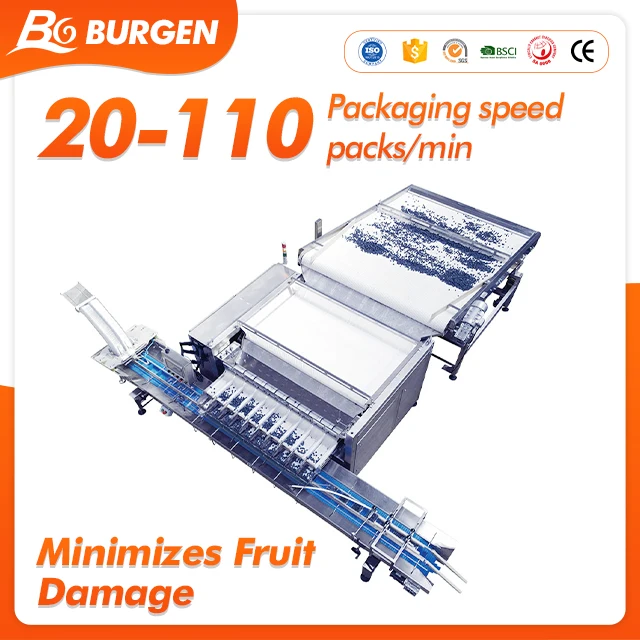 Automatic Digital Blueberry Fruit Weighing Packing Machine Competitive ...