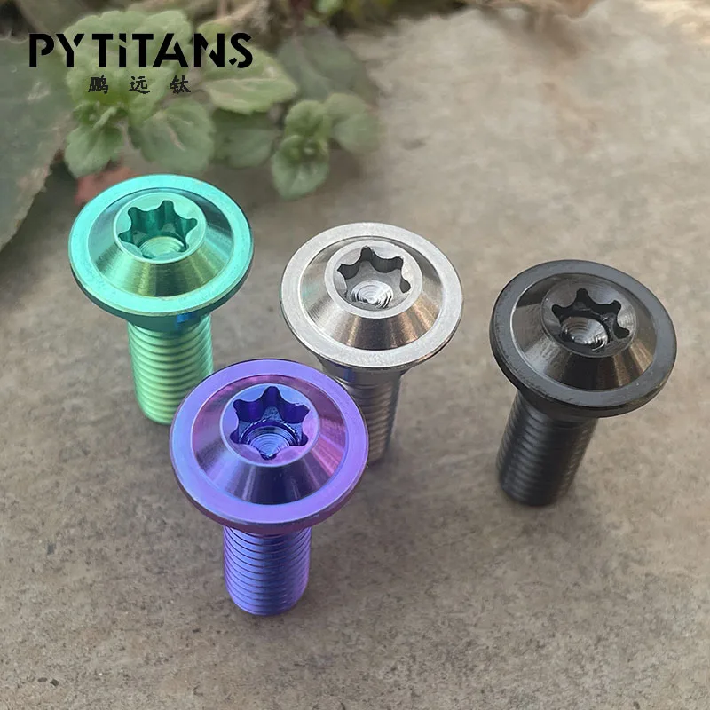 GR5 Titanium Bolt M8*24mm Shell Head Titanium Brake Bolts Titanium ...