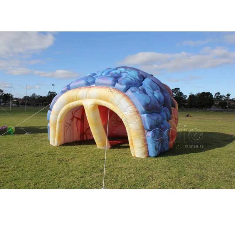 Realistic Inflatable Lungs - Educational Display Balloons