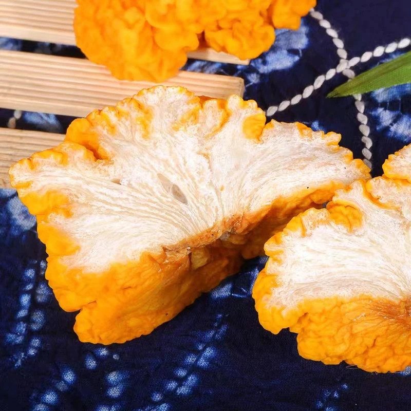 Natural Wild Golden Tremella Fungus - Fresh & Wholesale