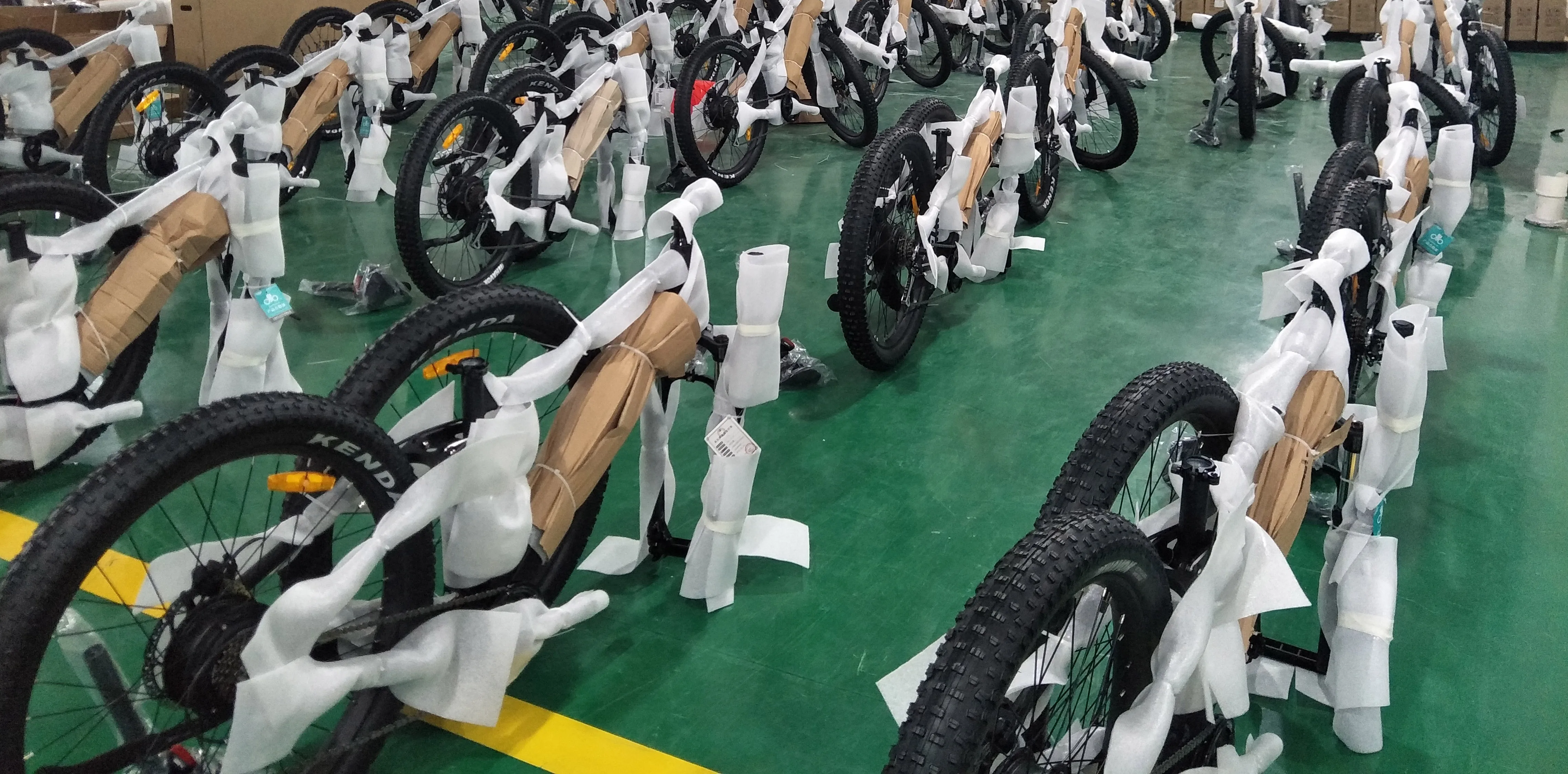 Petrigo Mtb Electric Bike Mid Drive Motor Electric Bicycle Fat E ...