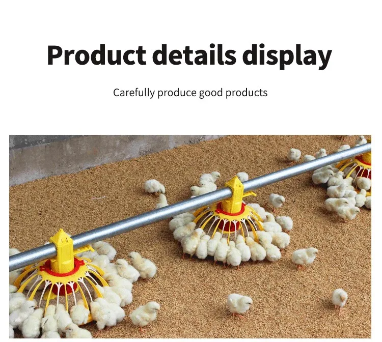 Agrieso Complete Poultry Farming Feed Line Equipment Automatic Chicken ...