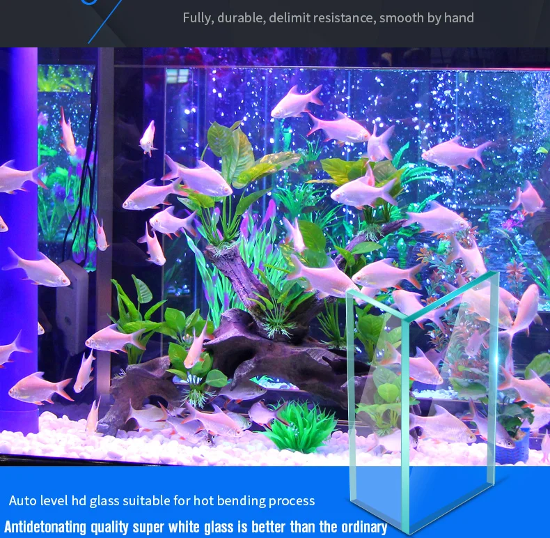 Versatile Open-Screen Bar Glass Aquarium - Modern Fish Tank