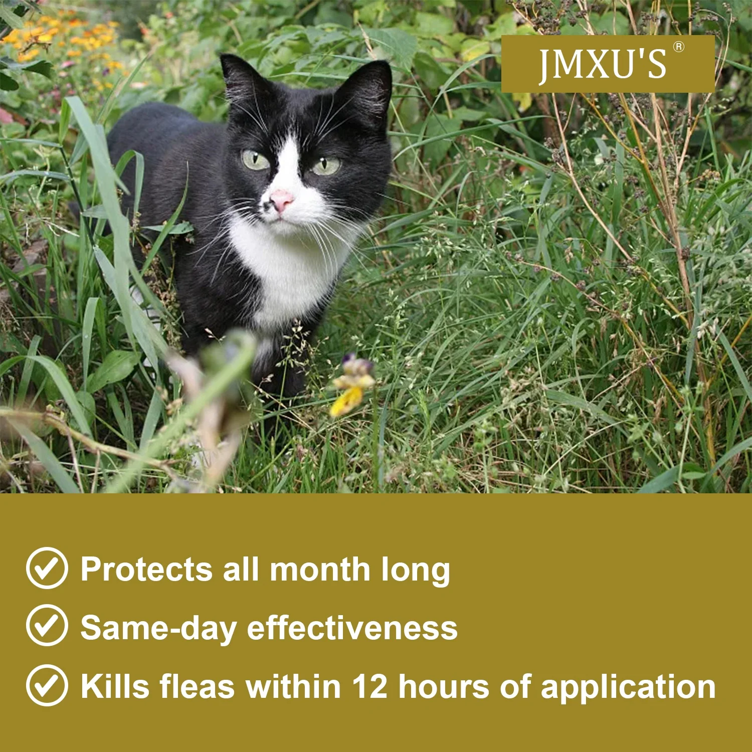 Herbal Flea Treatment Topical Drops,Made With Pure Essential Oils ...