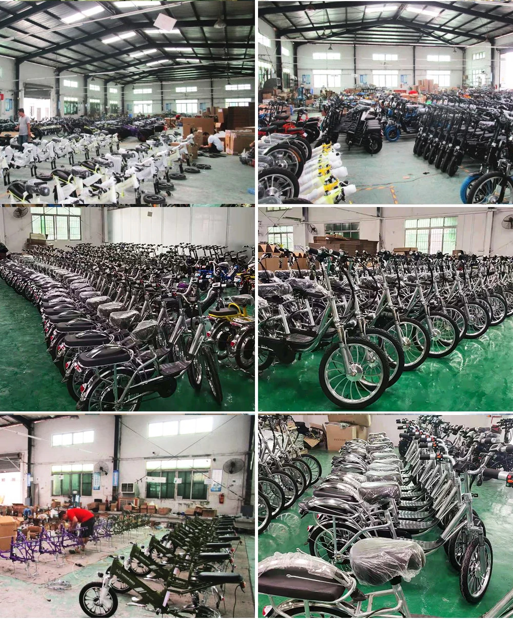 Ridstar Electric E Bike Conversion Kit with Lithium Battery & Hydraulic ...