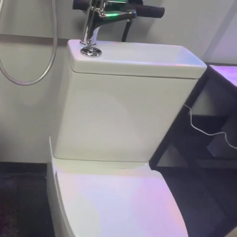 Portable Toilet Tap Into Wc Hand Bidet In Toilet Water Closet Basin In ...
