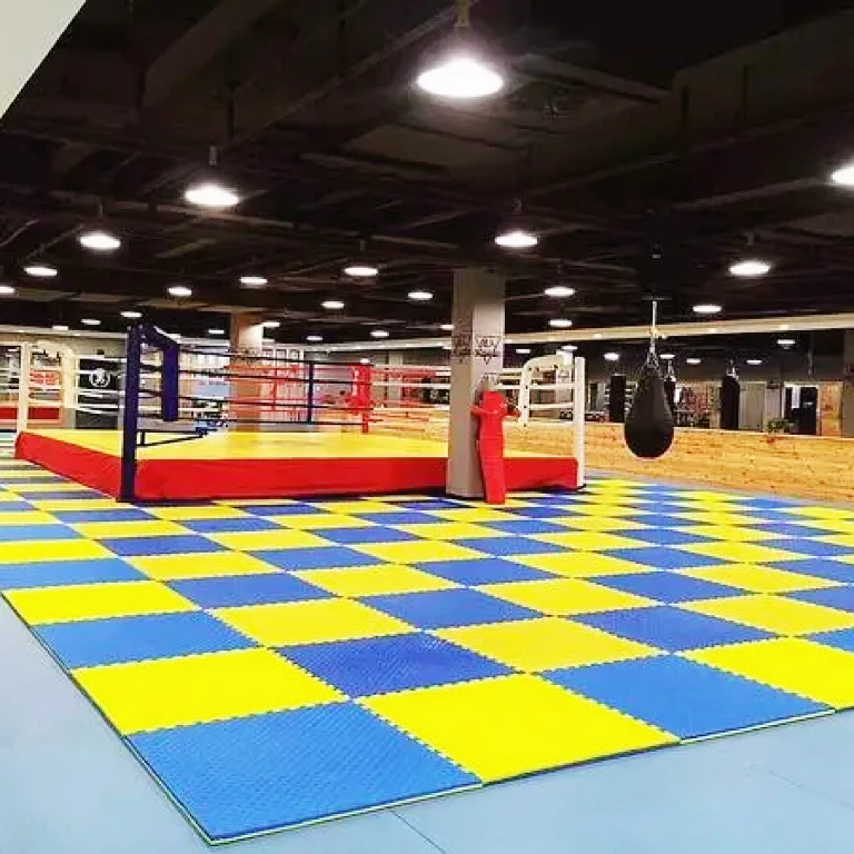 EVA Interlocking Judo Mats Foam Tatami for Martial Arts Training for ...