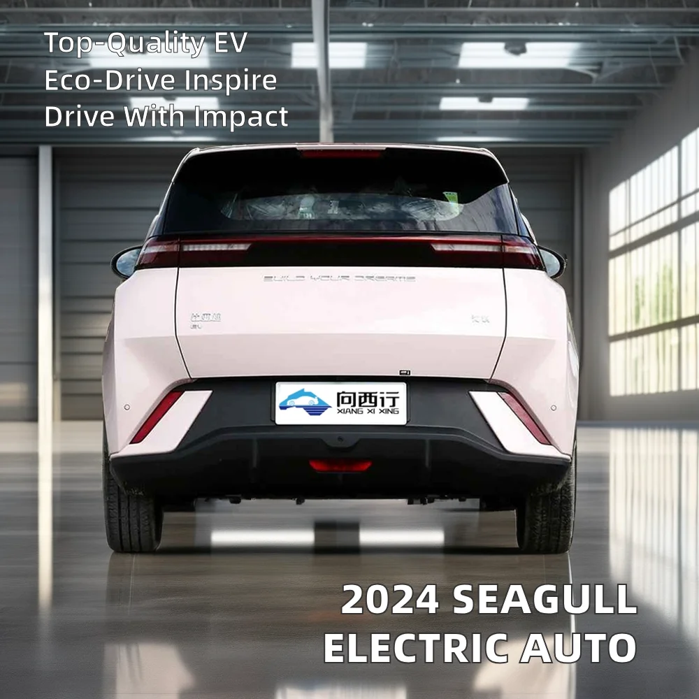 China BYD 2024 2023 Seagull New Energy Vehicle model electric car ...