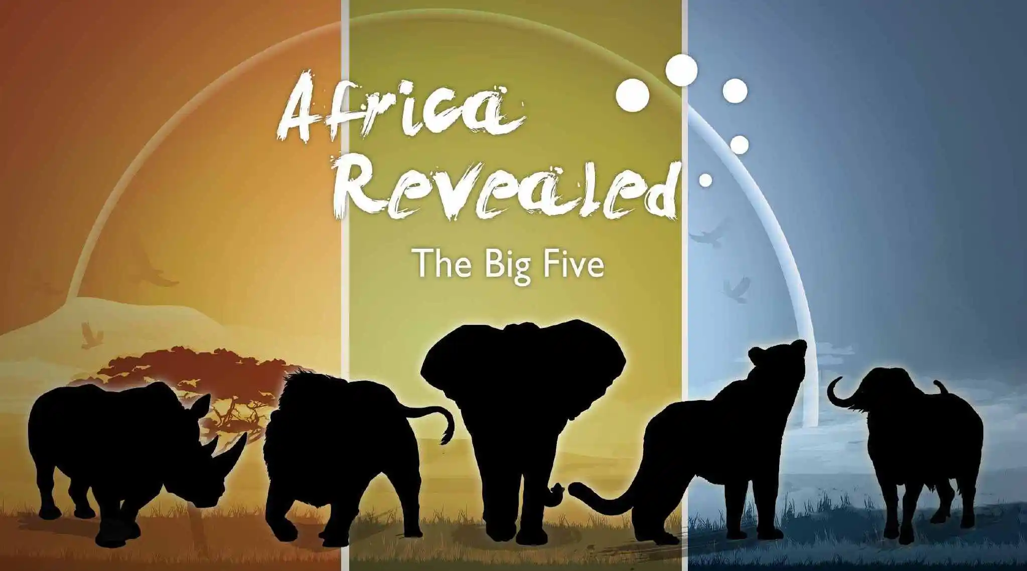 African Big 5 Animal Models - Rhinoceros, Lion, Elephant, Buffalo, Leopard