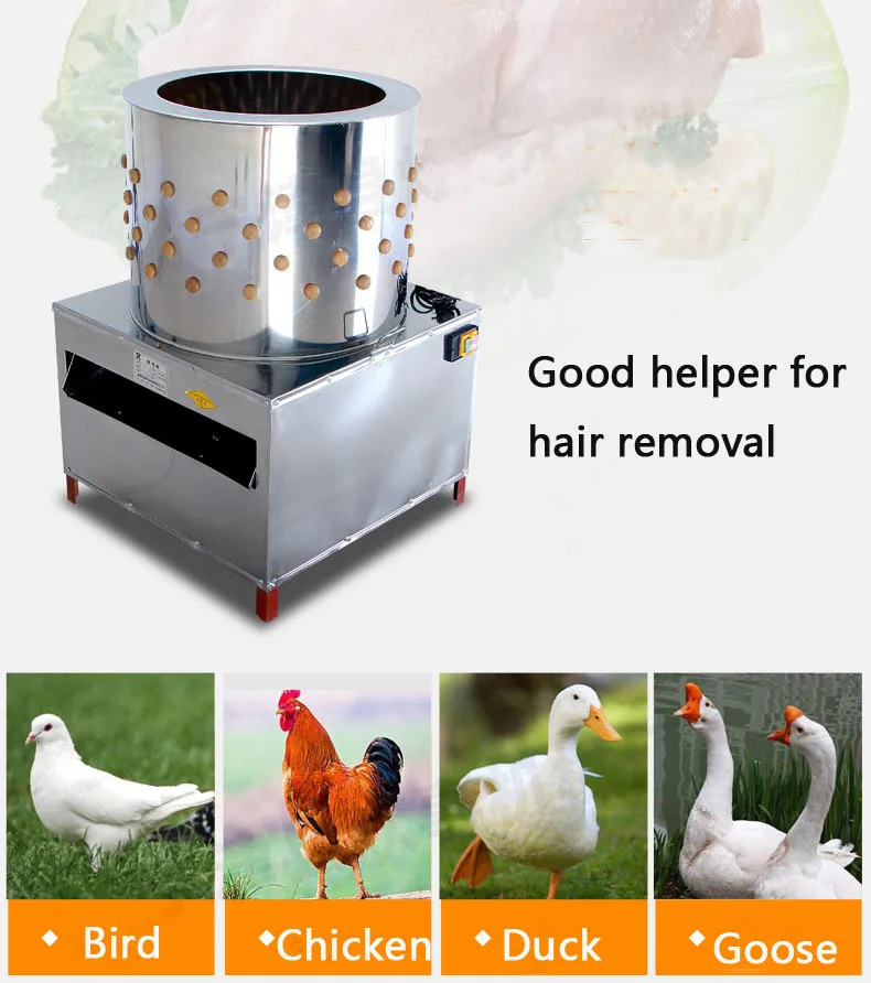Automatic Stainless Steel Poultry Chicken Feather Plucking Chicken ...