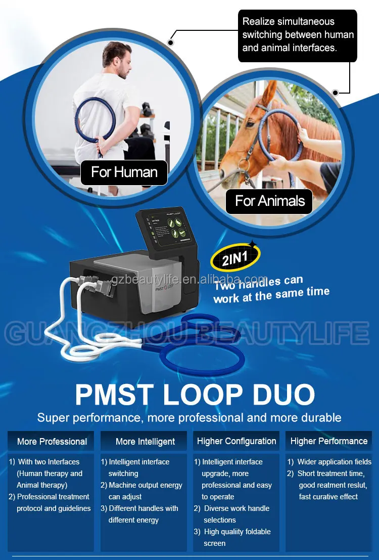 BL 2 Handles PMST Loop PEMF Mat - Magnetic Therapy Device