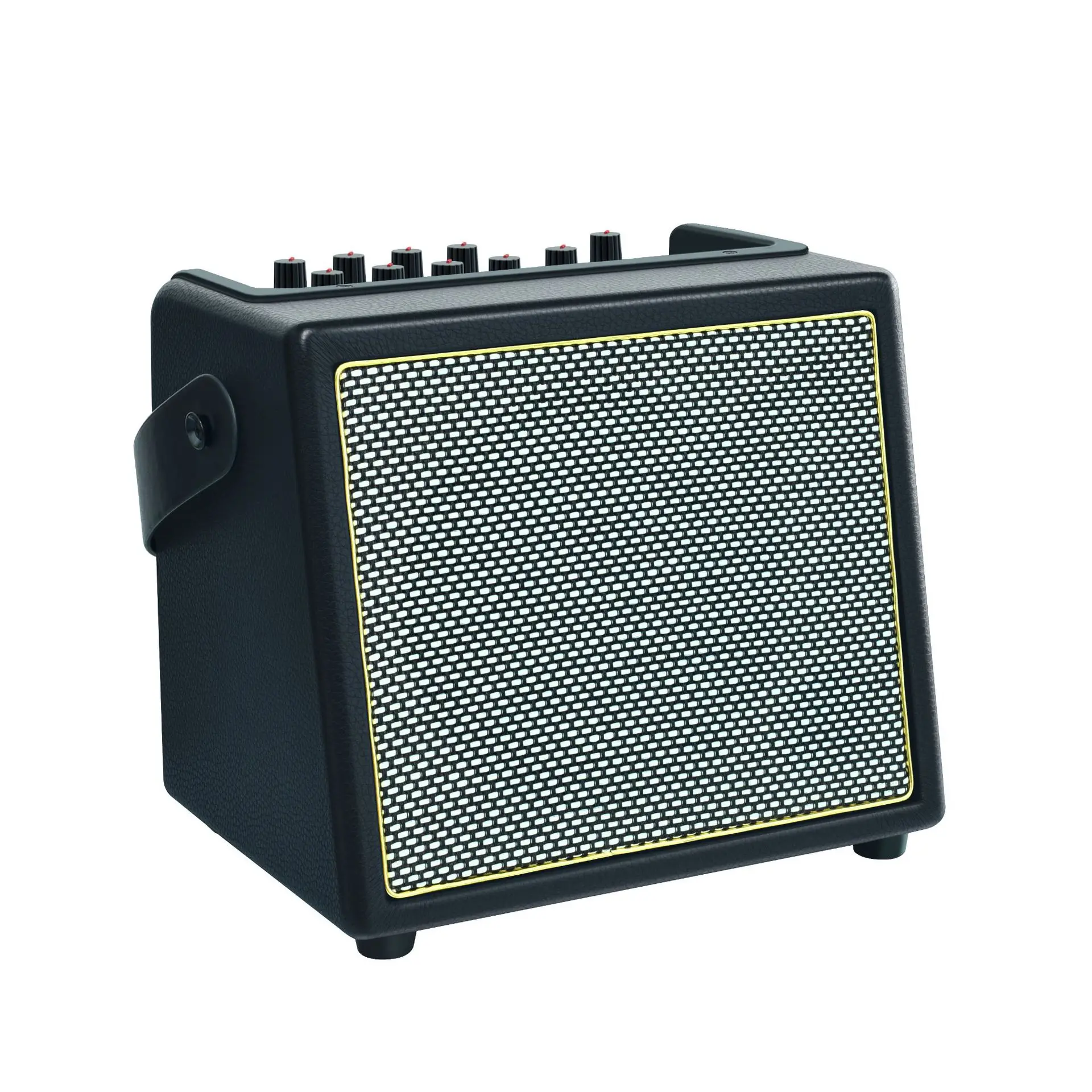 30 Watt Guitar Amp with Dual Speakers and Internal Recording