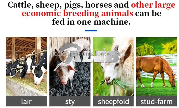 Vertical Horizontal Type TMR Fodder Mixing Machine for Cattle Feed