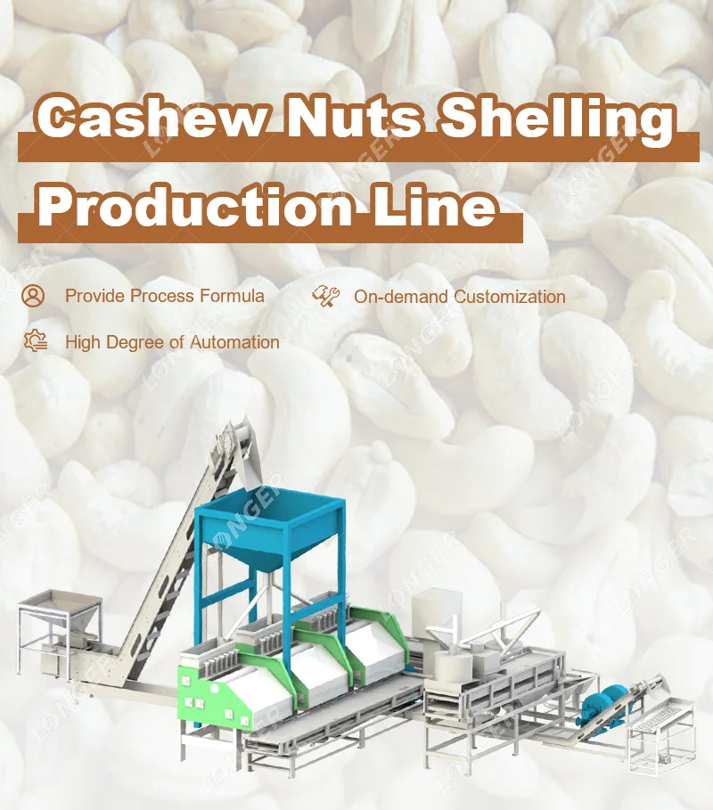 Full Automatic Raw Kaju Caju Production Line Bearing Small Scale Cashew ...