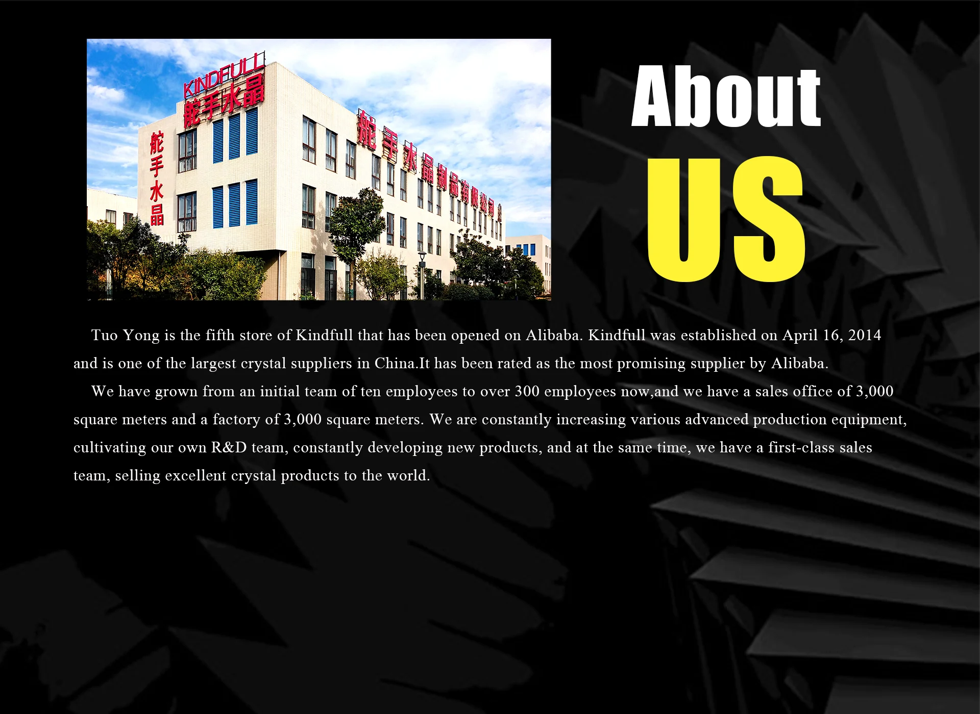 Company Overview - Donghai Shanhuiju Trading Co., Ltd.