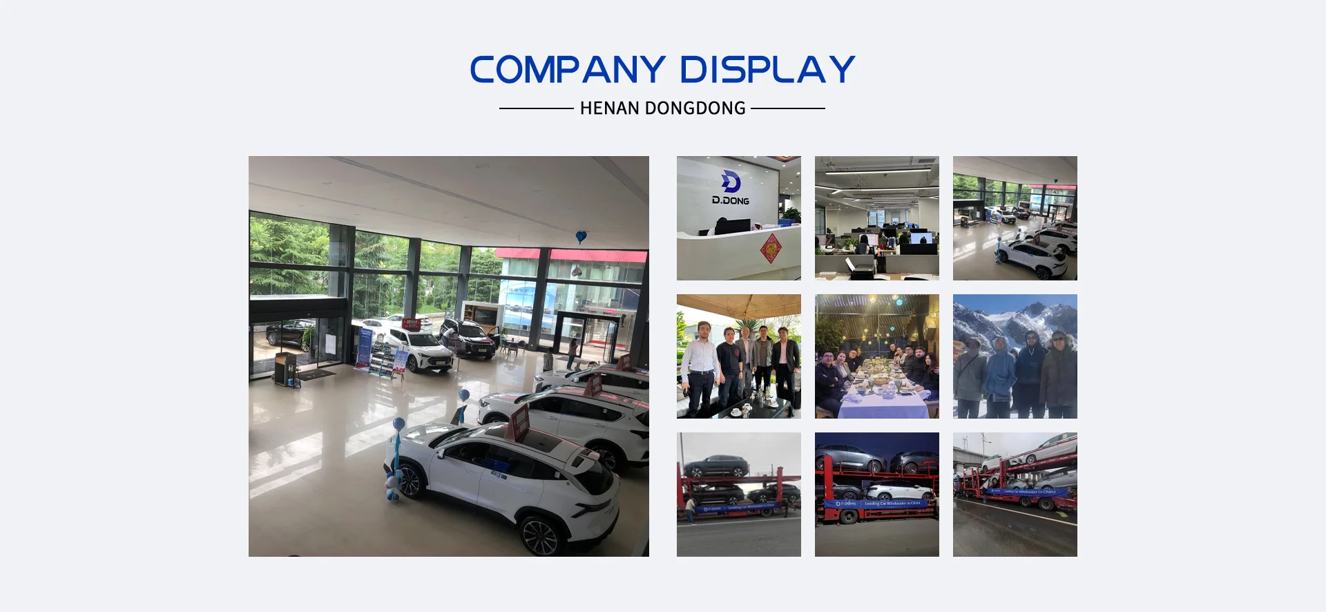 Henan Dongdong Automobile Service Co., Ltd. - Used Cars, New Energy ...