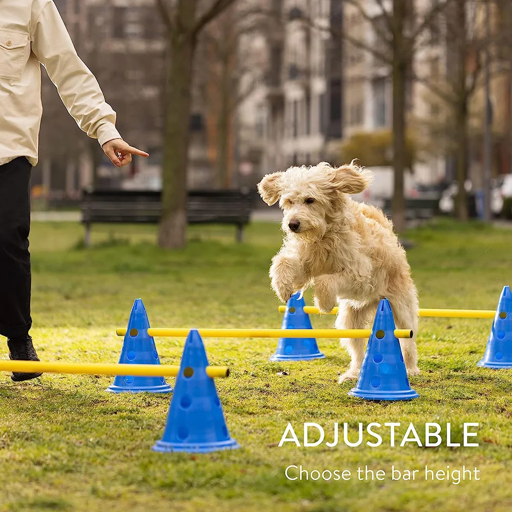 Dog Agility Training Equipment Outdoor Portable Dog Obstacle Training ...
