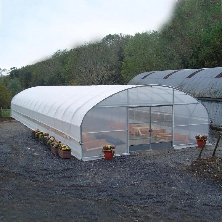 10*30m Single-span Cheap Galvanized Frame Greenhouse Tunnels Poly House ...