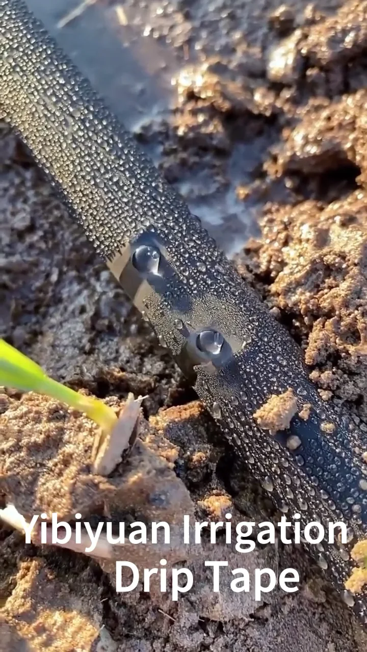 Orchi Agri Drip Irrigation Drip Tapes Hose 1000m 10cm 15cm Shenzhen Drip Irrigation Kit 4hectare ...