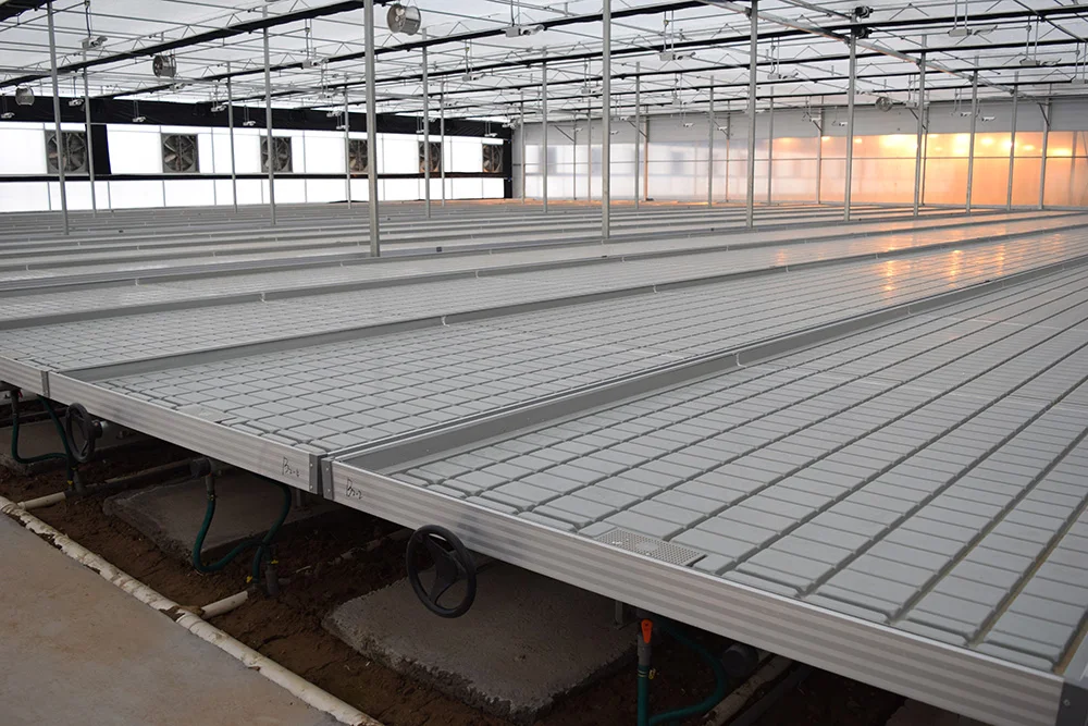 Greenhouse Ebb And Flow Table Rolling Benche Hydroponic System Grow
