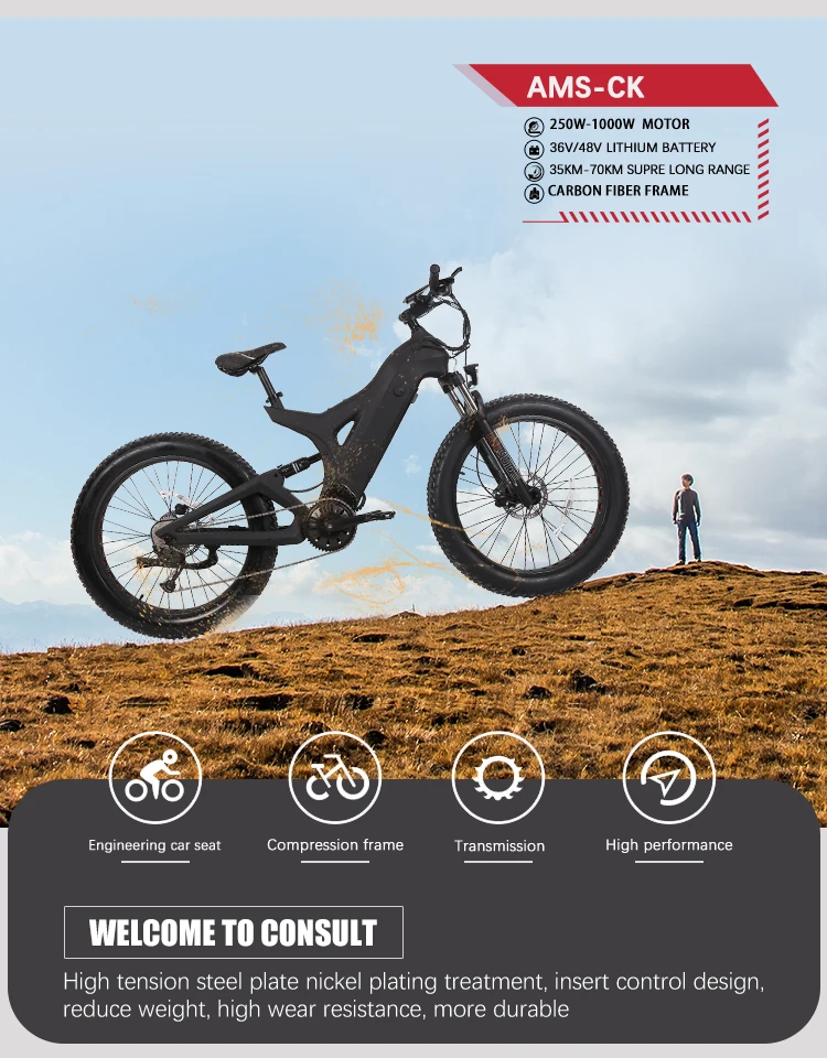 Carbon Fiber Mid Engine e bike 45Km/h Electric Bicycle Bike 48V 1000W ...