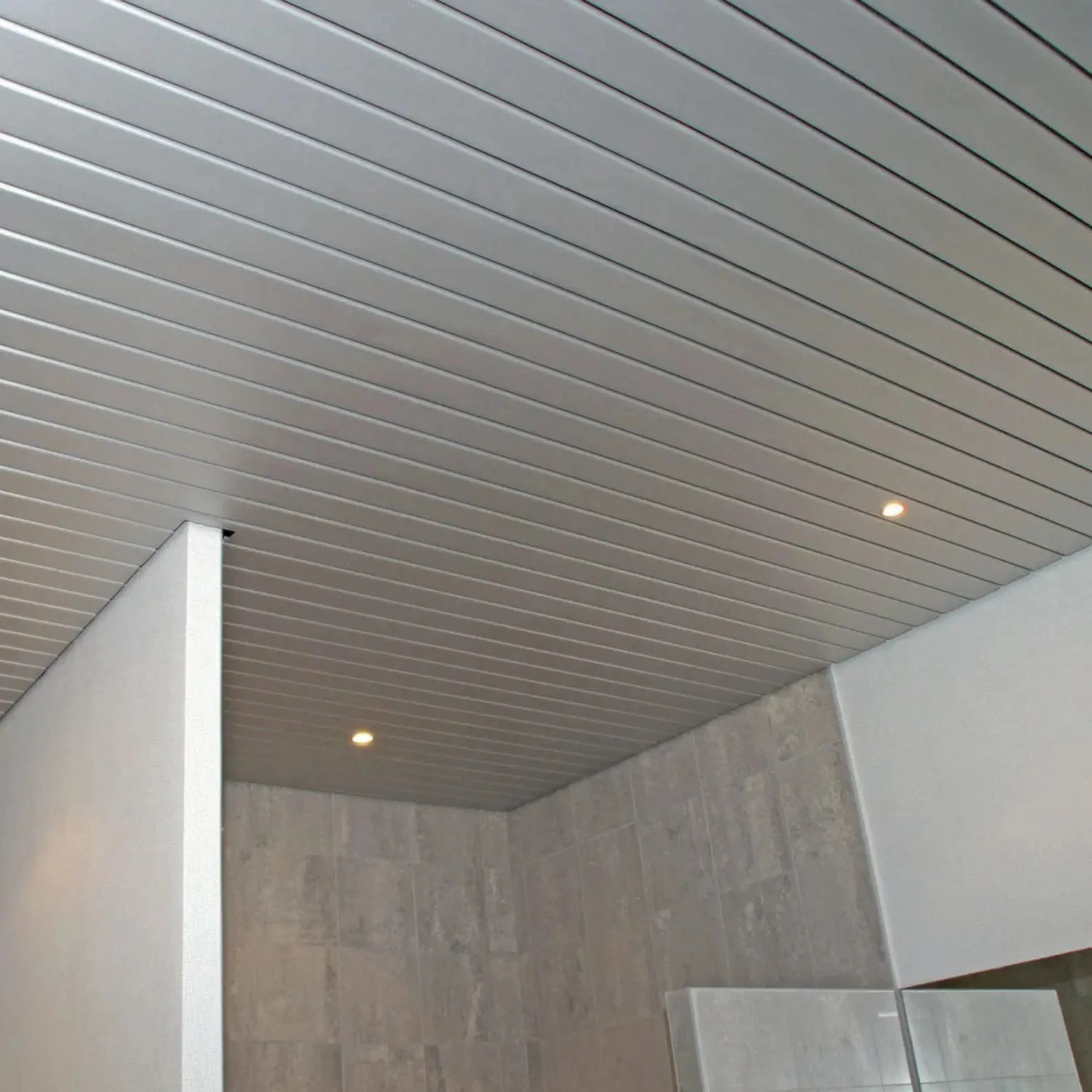 Metal Strip Ceiling Detail - Aluminum for Indoor/outdoor