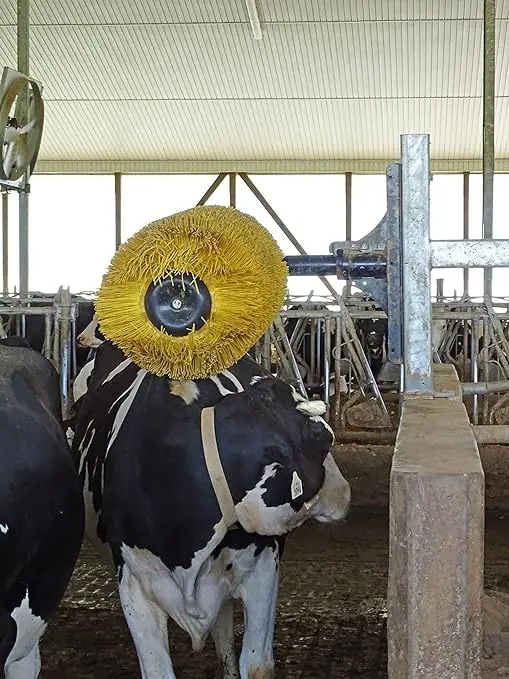 Cattle Massage Scratching Cleaning Body Agriculture Farm Equipment ...